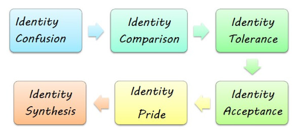 Cass Model of Gay/Lesbian Identity Development – D Insight Consulting